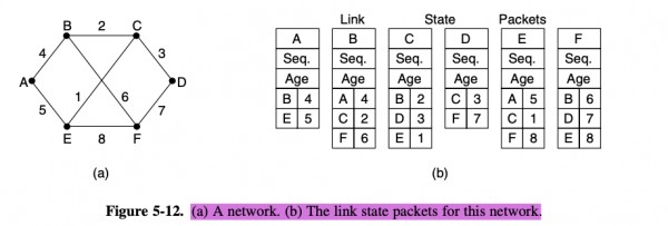 Computer Networks: LSP Packets