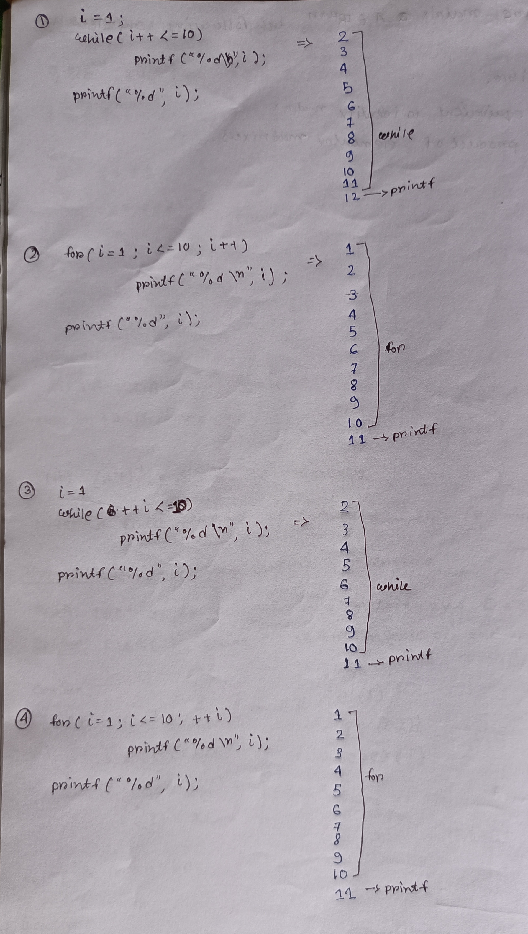 Programming in C: Loops (while and for)