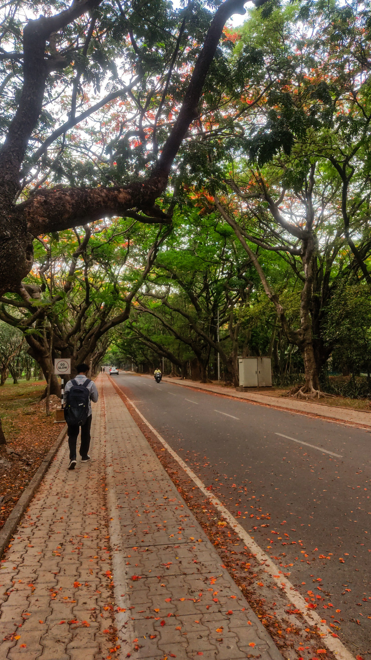 Recent posts in Interview Experience / GATE Overflow for GATE CSE